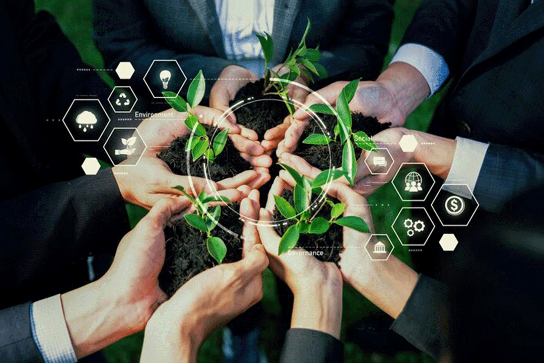 Digital Transformation Solutions | Powerweave Group